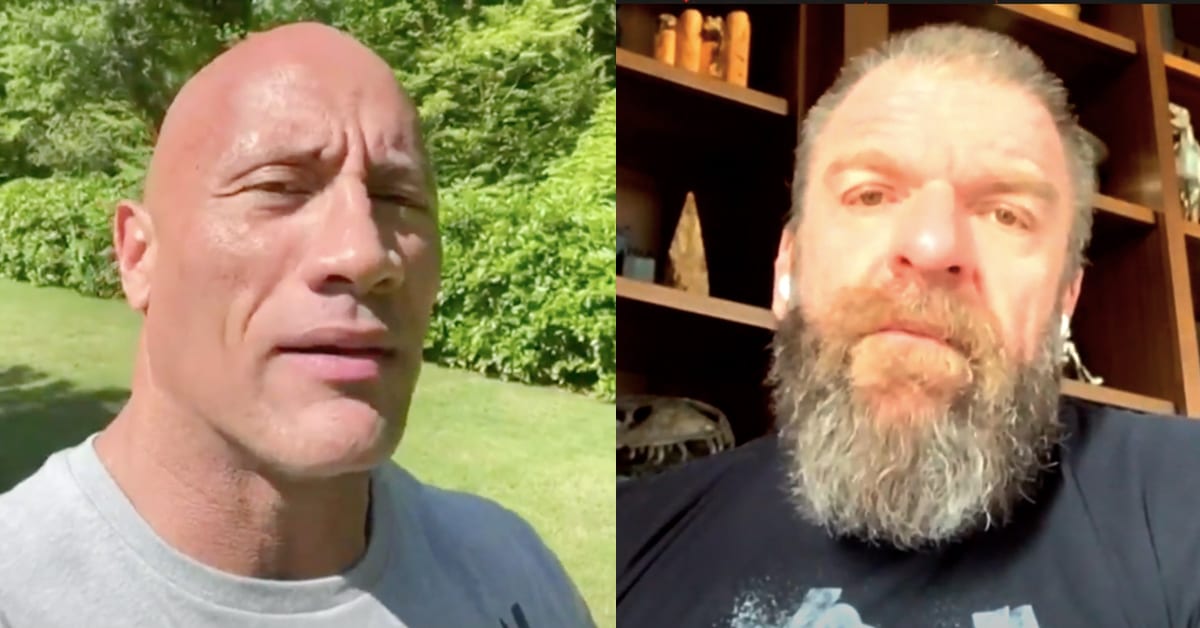 Triple H Beard