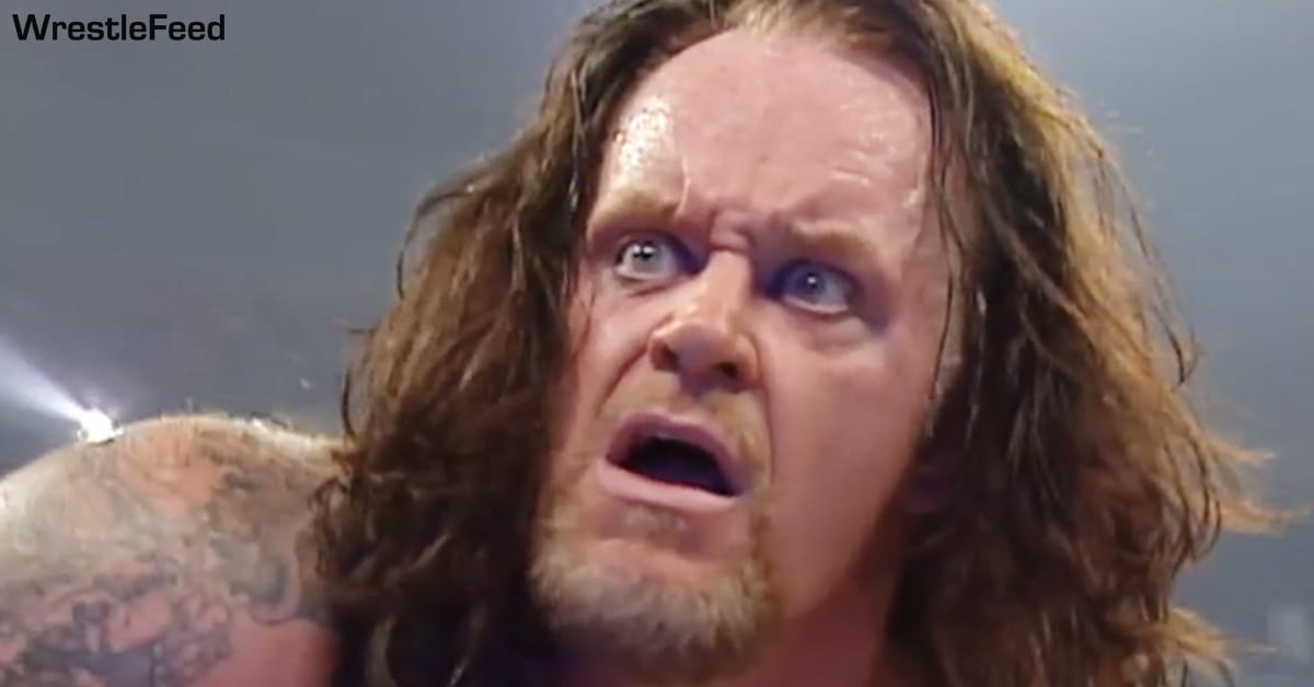 Undertaker Reacts To WWE Star Getting A Black Belt In BJJ - WWF Old School