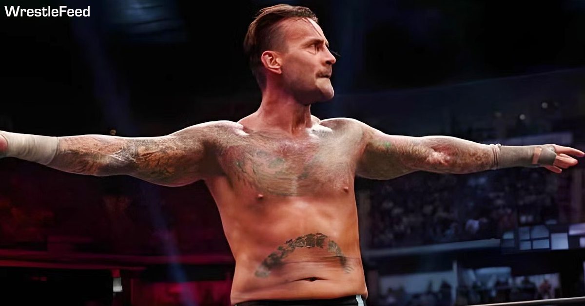 "The worst body ever to hold the belt" - Kevin Nash On CM Punk - WWF ...