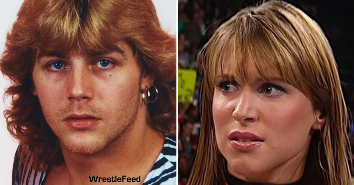 Truth Behind Shawn Michaels Liking Anti-Stephanie McMahon Post - WWF ...