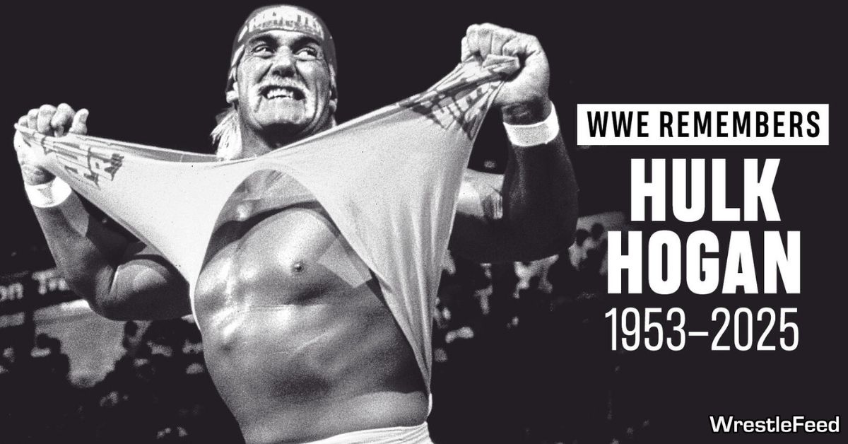 "Godspeed, Hulk Hogan. Thank you for all of the good" - RAW Star - WWF ...