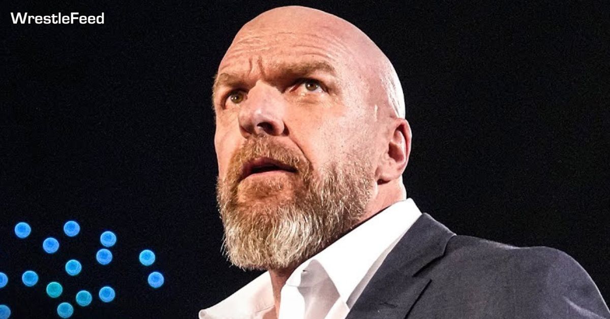WWE Shifting Towards AI-Driven Storylines - WWF Old School